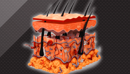 How to Demonstrate Virtual Bioequivalence for Complex Dermal Generic Drugs | Certara
