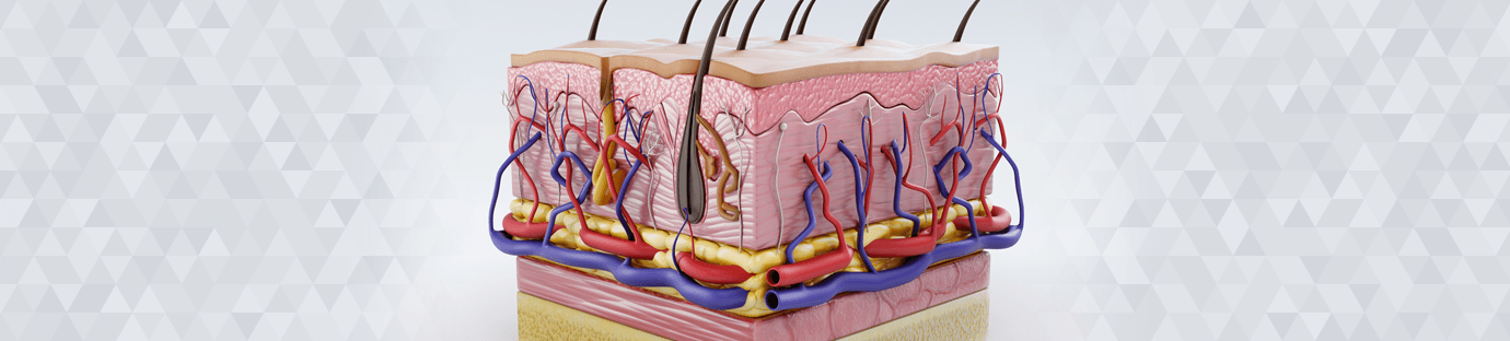 Certara | PBPK Modeling for Bioequivalence & Generic Product Approvals