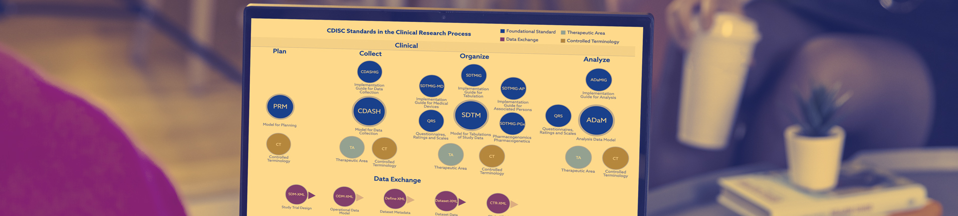 阐明 CDISC、SDTM 和 ADaM | Certara
