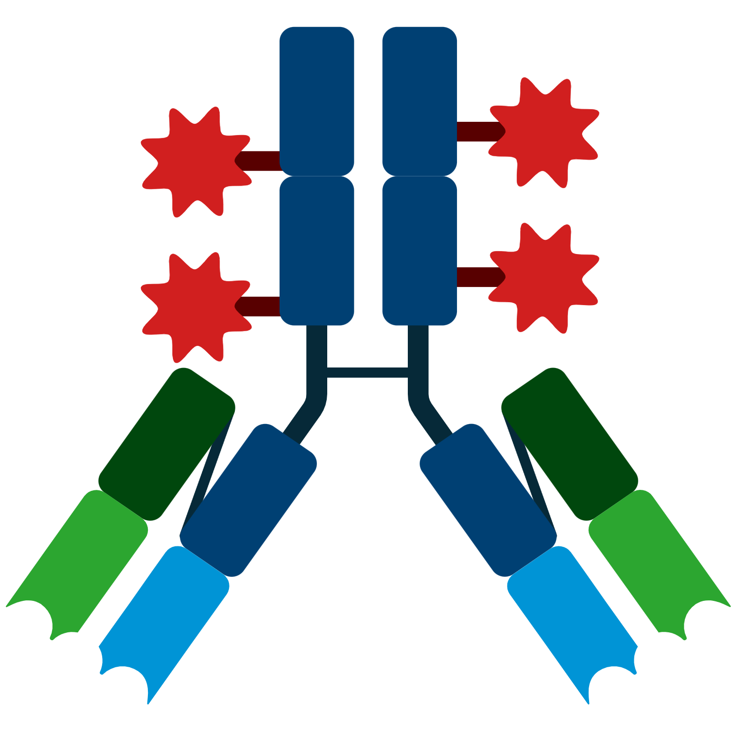 ADC QSP Model | Antibody-Drug Conjugate Model Pack